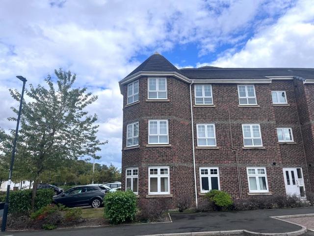 2 bedroom apartment to rent