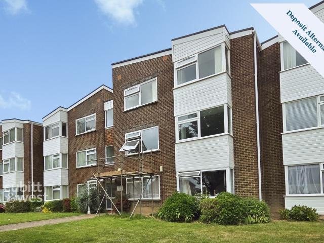 2 bedroom apartment to rent
