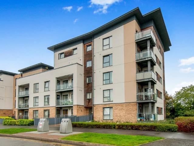 2 bedroom apartment to rent