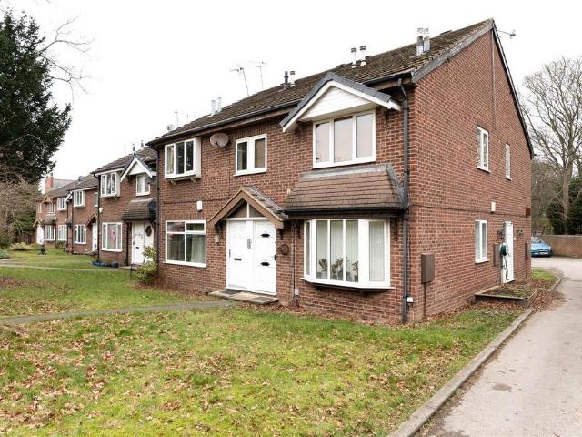2 bedroom apartment to rent