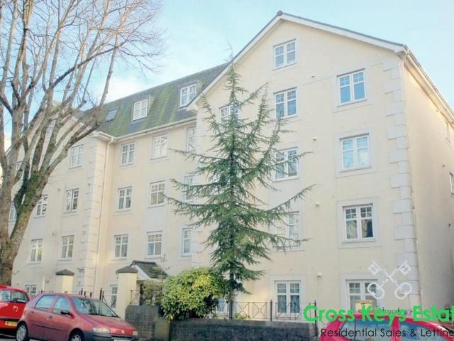 2 bedroom apartment to rent