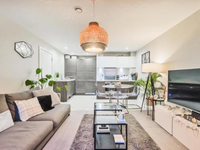 2 bedroom apartment to rent