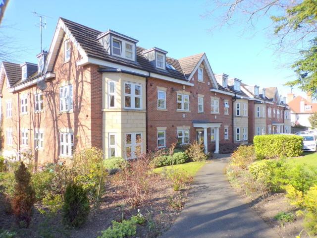 2 bedroom apartment to rent