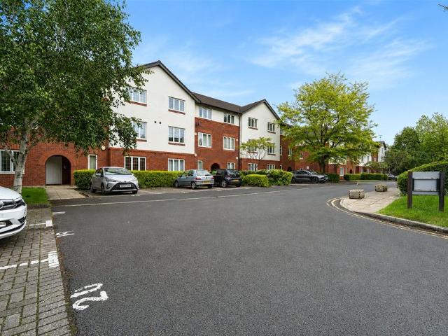 2 bedroom apartment to rent