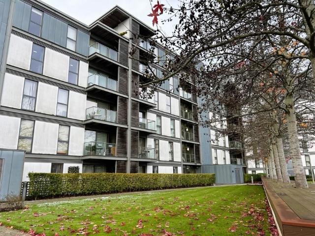 2 bedroom apartment to rent