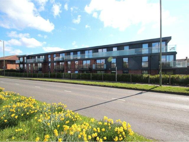2 bedroom apartment to rent