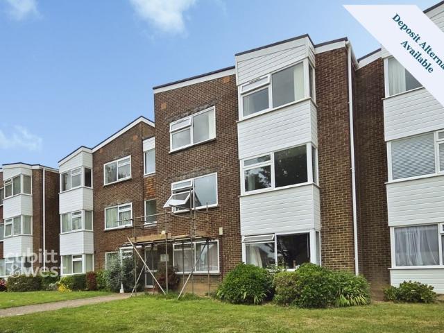 2 bedroom apartment to rent