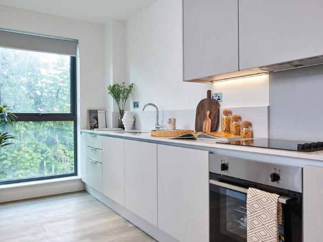 2 bedroom apartment to rent