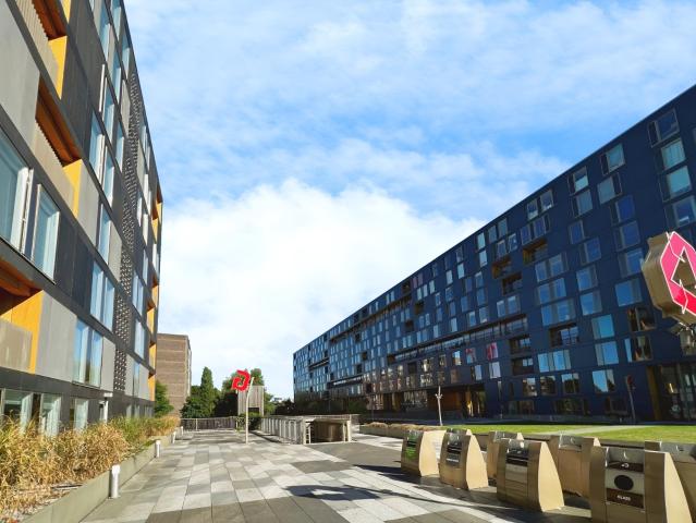 2 bedroom apartment to rent
