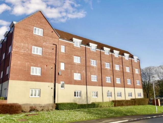 2 bedroom apartment to rent