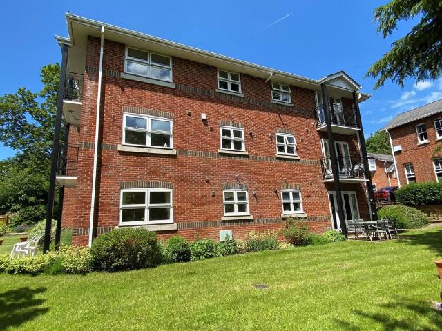 2 bedroom apartment to rent