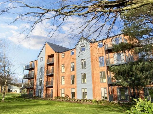 2 bedroom apartment to rent