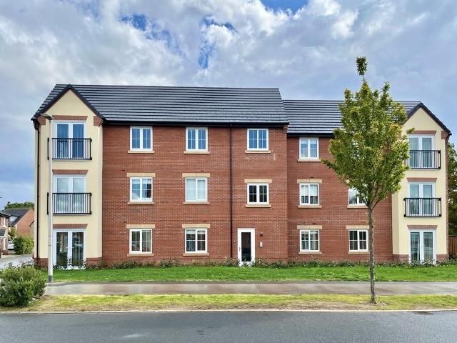 2 bedroom apartment to rent