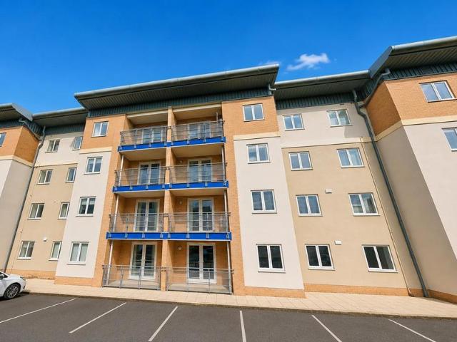 2 bedroom apartment to rent