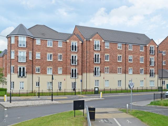 2 bedroom apartment to rent