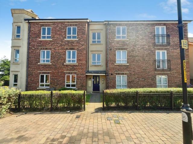 2 bedroom apartment to rent