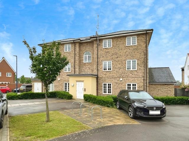 2 bedroom apartment to rent