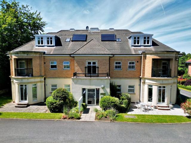 2 bedroom apartment to rent