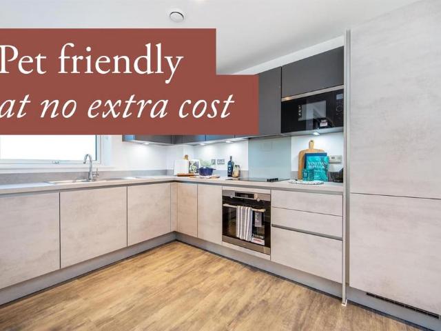 2 bedroom apartment to rent