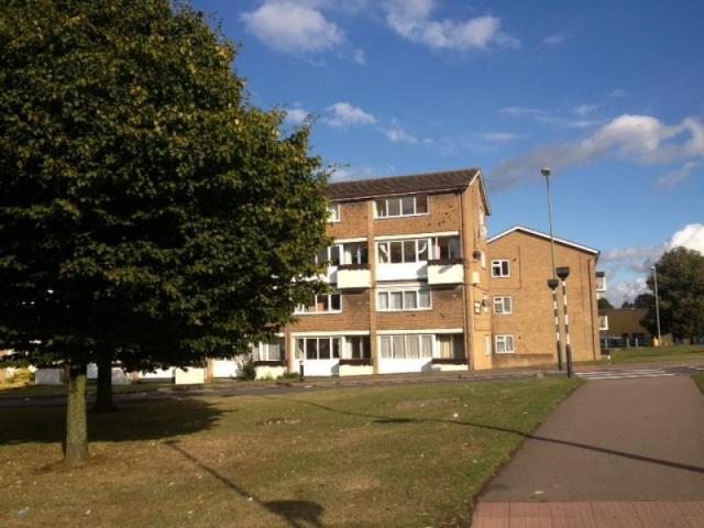 2 bedroom apartment to rent