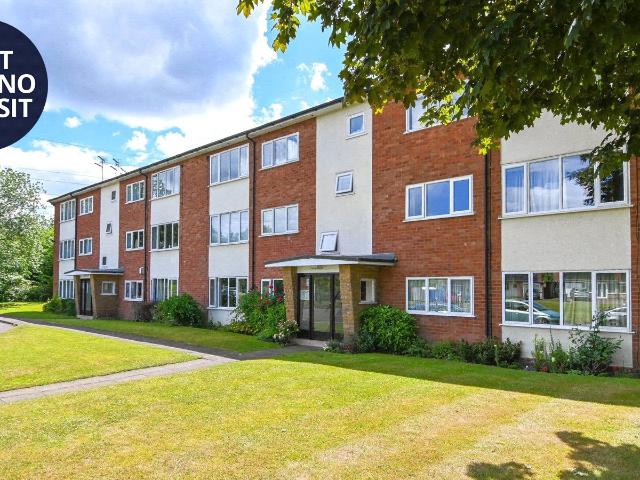 2 bedroom apartment to rent