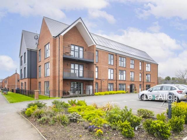 2 bedroom apartment to rent