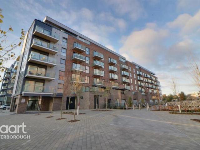 2 bedroom apartment to rent