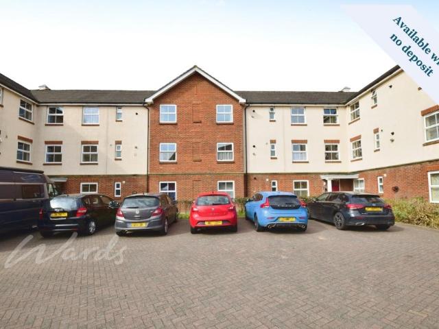 2 bedroom apartment to rent