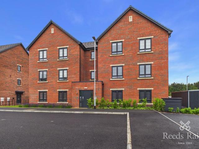 2 bedroom apartment to rent