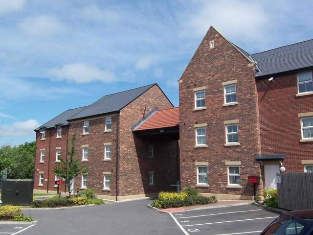 2 bedroom apartment to rent