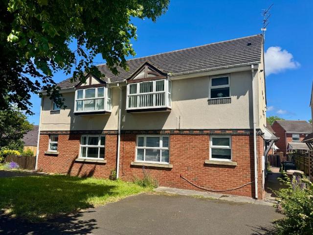 2 bedroom apartment to rent