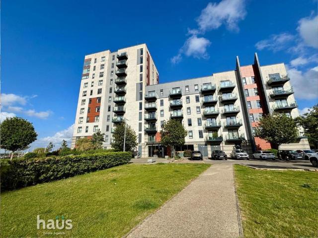 2 bedroom apartment to rent
