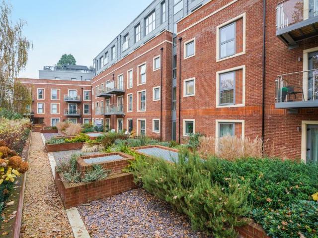 2 bedroom apartment to rent