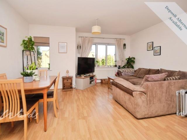 2 bedroom apartment to rent