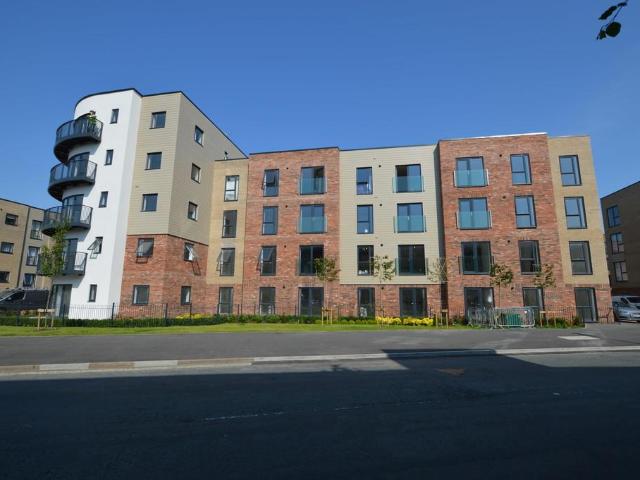 2 bedroom apartment to rent
