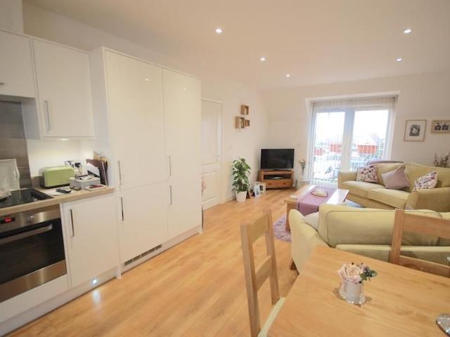 2 bedroom apartment to rent
