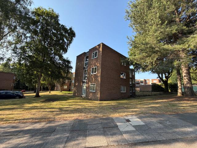 2 bedroom apartment to rent