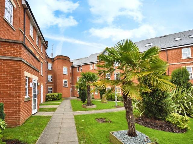2 bedroom apartment to rent