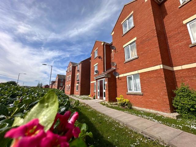 2 bedroom apartment to rent