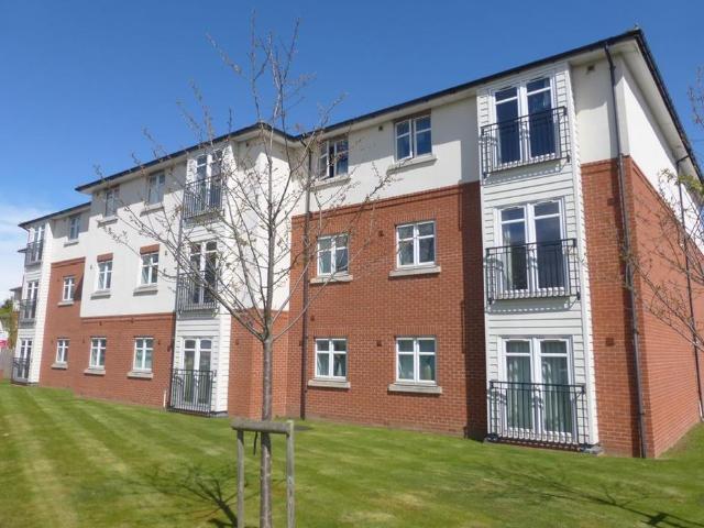2 bedroom apartment to rent