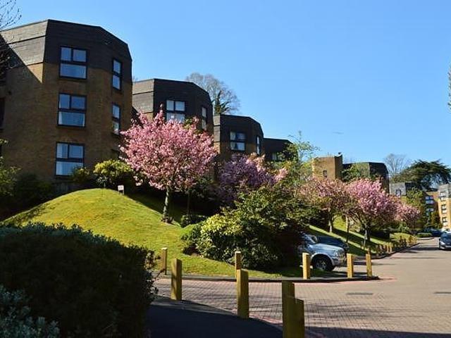 2 bedroom apartment to rent