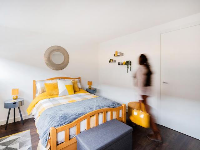 2 bedroom apartment to rent