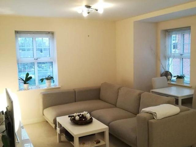 2 bedroom apartment to rent