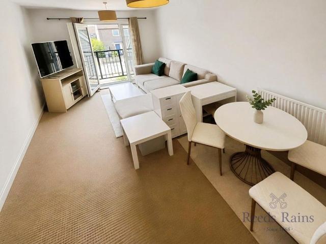 2 bedroom apartment to rent