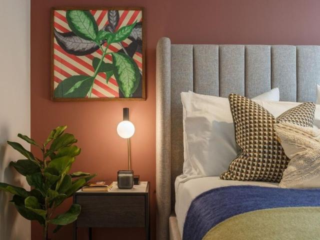2 bedroom apartment to rent