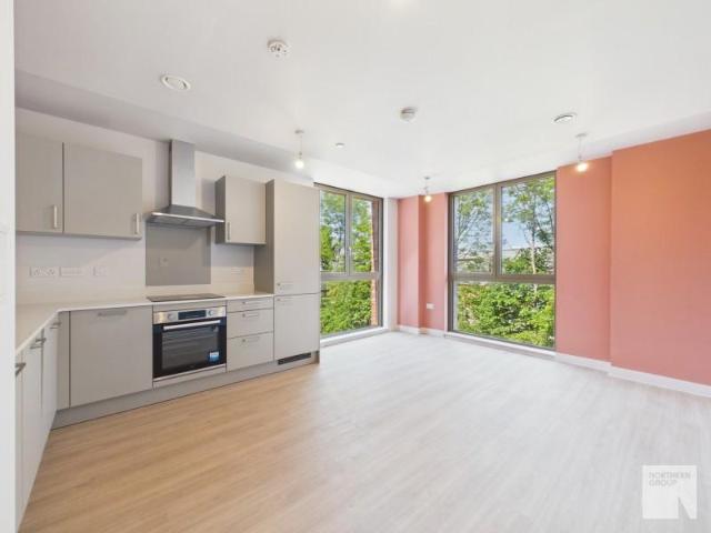 2 bedroom apartment to rent