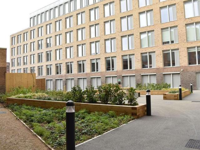 2 bedroom apartment to rent