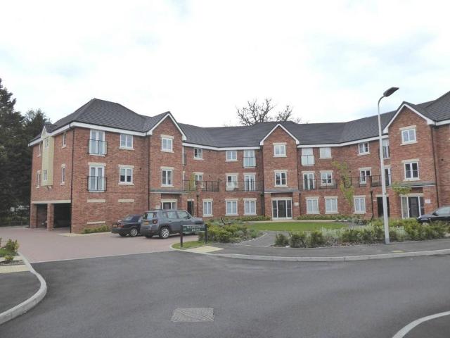 2 bedroom apartment to rent