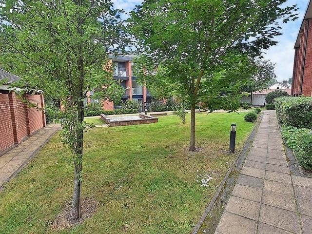 2 bedroom apartment to rent