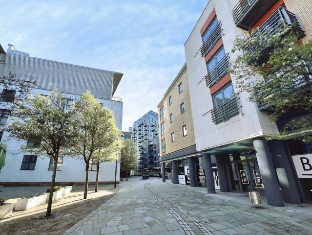 2 bedroom apartment to rent
